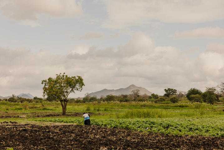 How Climate Change Affects Food Security | World Vision UK