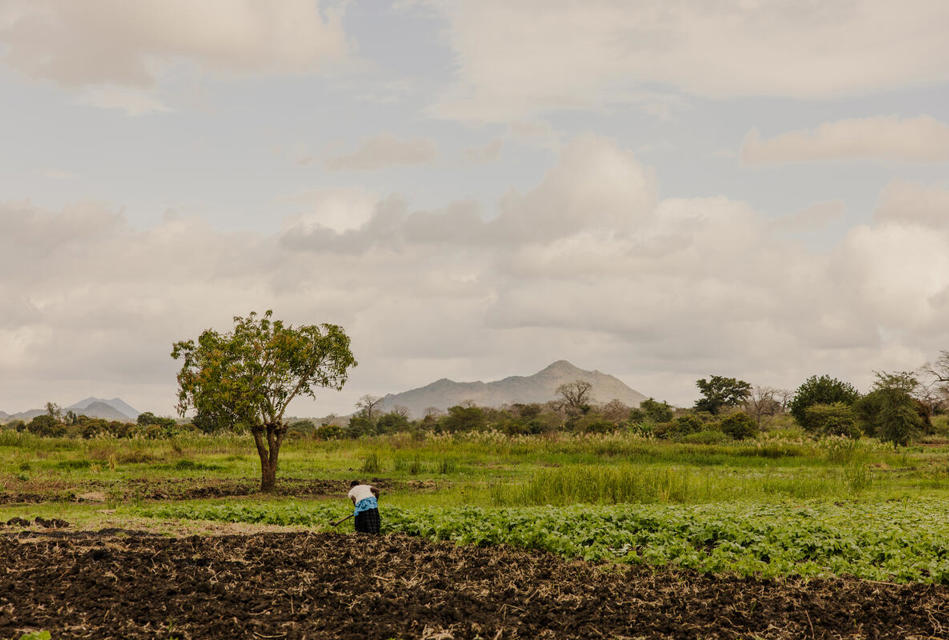 How Climate Change Affects Food Security | World Vision UK