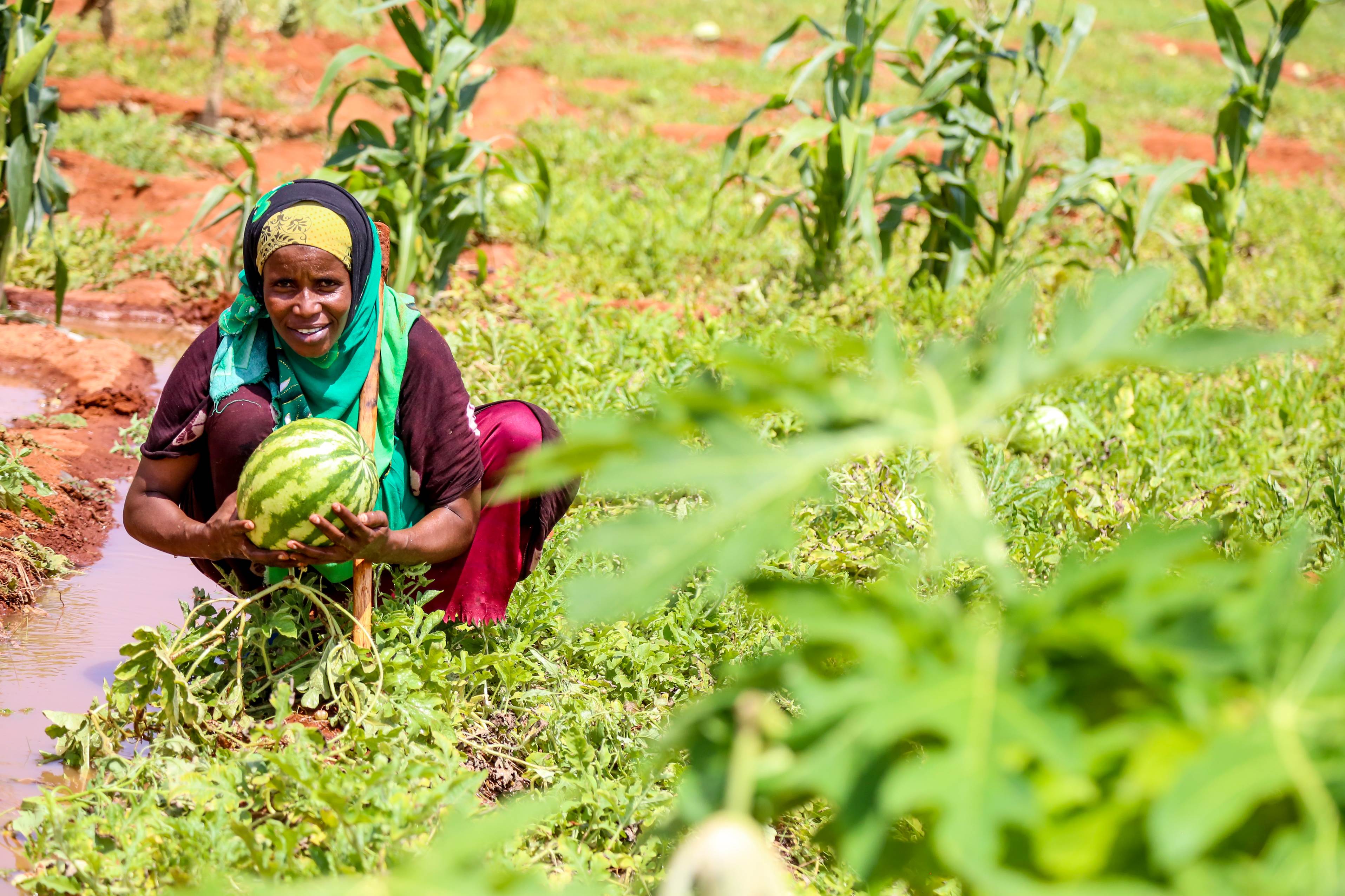 somalia world food program