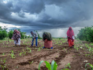 10 facts about world hunger | World Vision UK